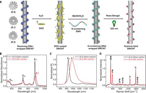 Dna Guided Lattice Remodeling Of Carbon Nanotubes Science
