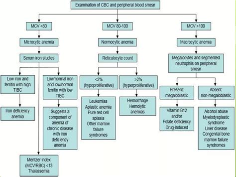 Anemia And Its Classification Pptx