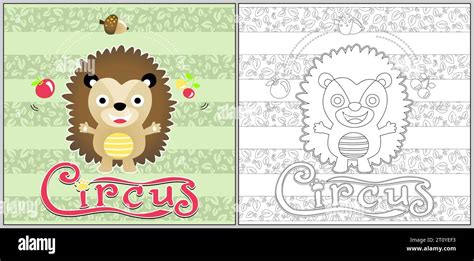 Vector Cartoon Illustration Of Cute Hedgehog Juggling Fruits In Circus