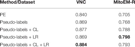 Results Of Pseudo Label Network Training Using Different Loss Functions