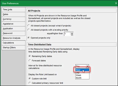 P6 Professional Dayhour Resource Usage Profile Not Correct Ten Six