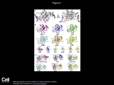 Volume 44 Issue 3 Pages November 2011 Ppt Download