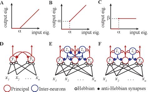 Synthetic Biological Circuit Semantic Scholar