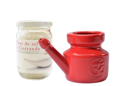 Neti Lota Jala Neti Kit 400ml And Sea Salt From Guerande France Chin Mudra Etsy
