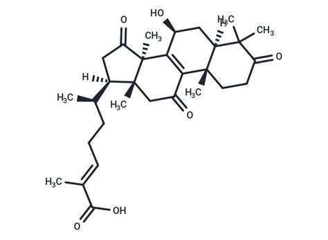 Ganoderic Acid Gs 1 Targetmol