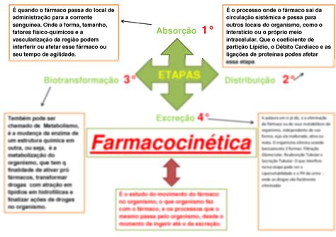 SOLUTION Mapa Mental De Farmacocin Tica Studypool