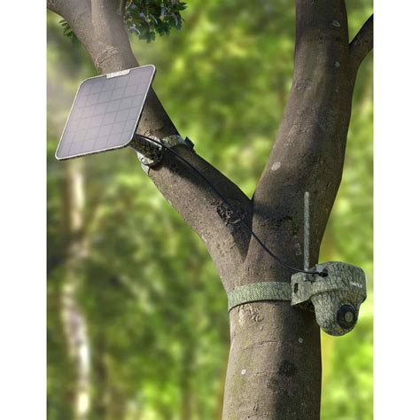 Reolink Go Ranger Pt Käänneltävä 4g Riistakamera Aurinkopaneelilla