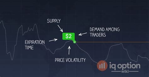 Put And Call On IQ Option We Explain In Full How These Options Work IQ Option Wiki