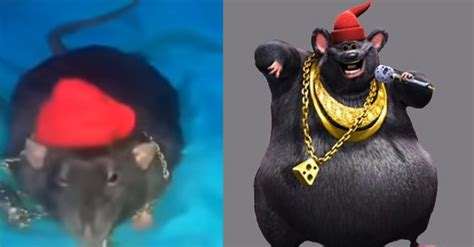Bombastic Memes Bombastic Memes And S Imgflip
