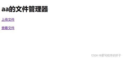 Phar反序列化文件上传与例题讲解文件上传加反序列化 Csdn博客 Phar反序列化文件上传与例题讲解文件上传加反序列化 Csdn博客