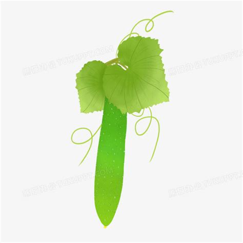 卡通手绘蔬菜黄瓜png图片素材下载 蔬菜png 熊猫办公