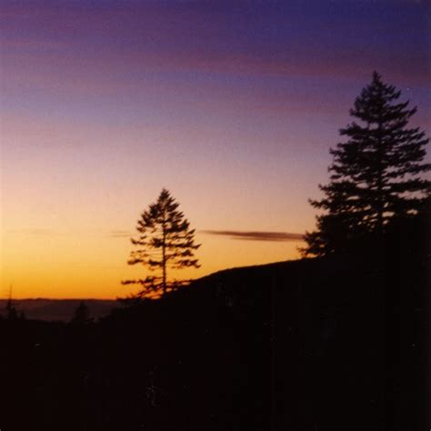 Stream Dob Music Listen To Songs Albums Playlists For Free On Soundcloud