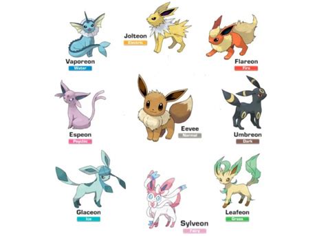 Pokemon TV On Tumblr