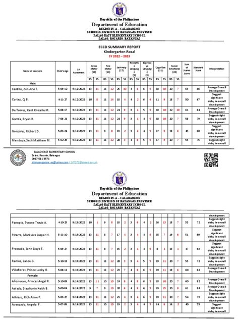 Eccd Summary Report Pdf Social Institutions