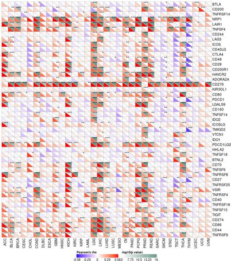 Immune Infiltration Of Mmp14 In Pan Cancer And Its Prognostic Effect On