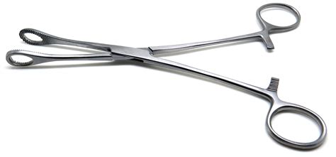Foerster Forcep Ubicaciondepersonas Cdmx Gob Mx