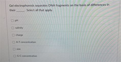 Solved Gel Electrophoresis Separates Dna Fragments On The