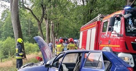 Kot wyskoczył z koszyka Kierowca stracił panowanie nad autem RMF 24