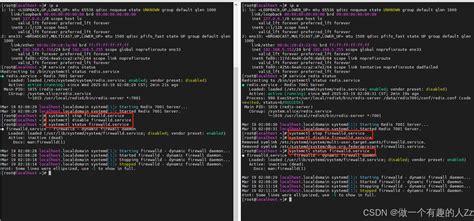 Redis6【备份迁移篇】02：使用redis Shake对redis进行迁移 Csdn博客