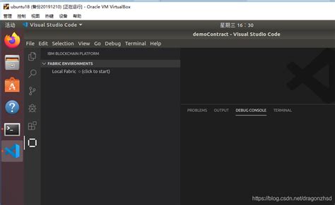 开发智能合约教程 使用vscode和ibm Blockchain Platform Extension智能合约vs Csdn博客