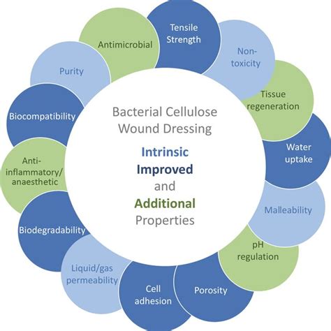 Main Improvements Of Bacterial Cellulose For Wound Dressing