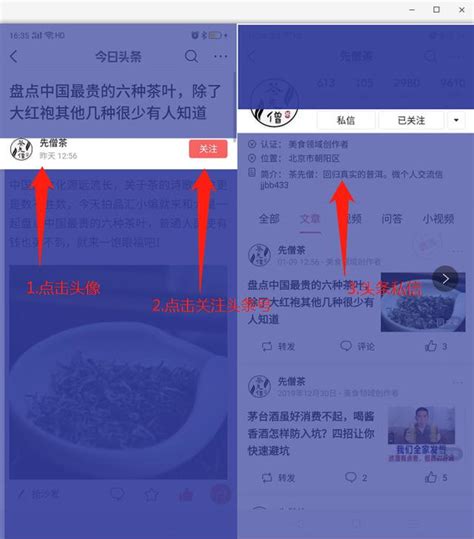 普洱茶選購中怎麼避坑這3個技巧要掌握 每日頭條