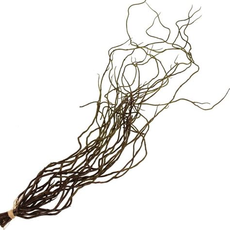 102cm Root Bundle Sagedecor