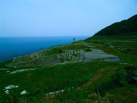 白米千枚田 by Blue Man ID11831391 写真共有サイト PHOTOHITO
