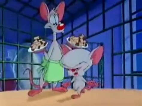 Pinky And The Brain Where To Watch And Stream Tv Guide