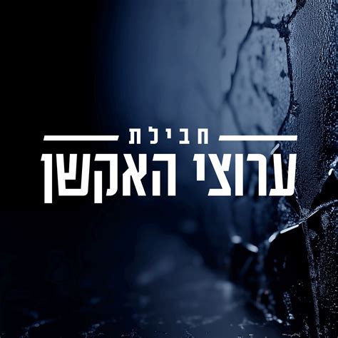 בפרקים הבאים בסדרת המופת הכבוד של אשרף בערוץ האקשן העולמי 1 משפחת היתומים מחליטה לא לקבל את