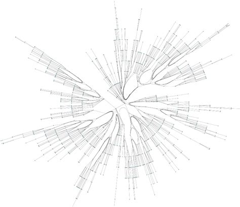 Radial Layout Orbifold Consulting