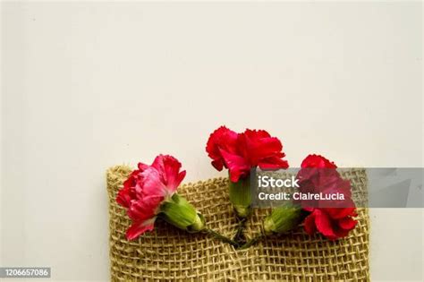 창의적인 인사말 카드 삼베에 분홍색 카네이션 3개 텍스트 장소 어머니의 날 인사말 카드 디자인 컨셉 0명에 대한 스톡 사진 및