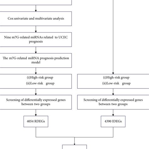 Flowchart Of Construction Of The Ucec Prognostic Model Download Scientific Diagram