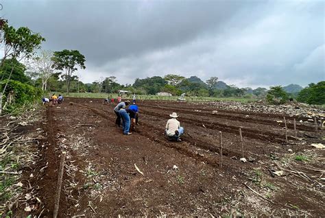 Promueven parcelas demostrativas en Poptún Gobierno de Guatemala