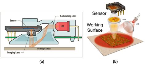 Pc Optical Mouse A Anatomy Of The Device B Working Principle