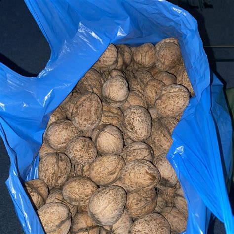 Грецкий орех купить в Новочеркасске цена 70 руб дата размещения 10 11 2024 Продукты питания