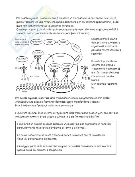 Appunti Microbiologia