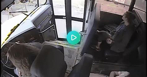 Bus Driver Reflexes Over 1000 Album On Imgur