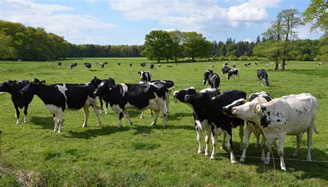 Aktuelles Landvolk Osterholz