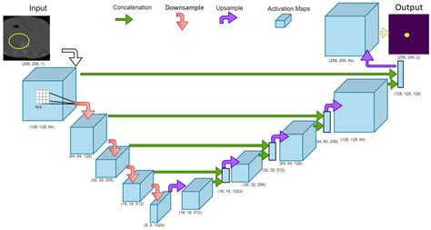 unet model architecture used for the training phase to generate a