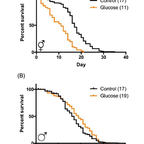 High Glucose Diet Regulates Mobility In A Sex Specific Manner A
