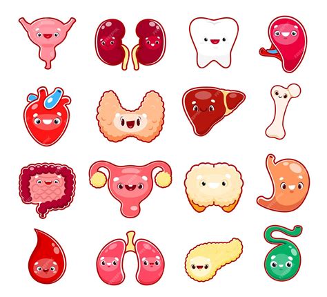 Cartoon Caractères Dorganes Du Corps Humain Grimaces Vecteur Premium