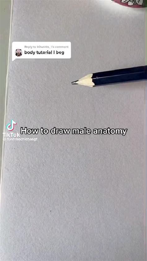 How To Draw The Male Anatomy Figure Drawing Body Drawing Tutorial Sketches Tutorial