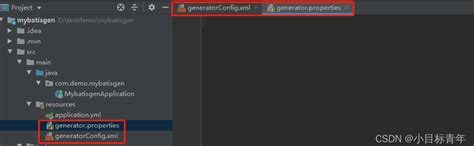 Springboot 根据数据库表自动生成实体类和mapper，只需三步 阿里云开发者社区
