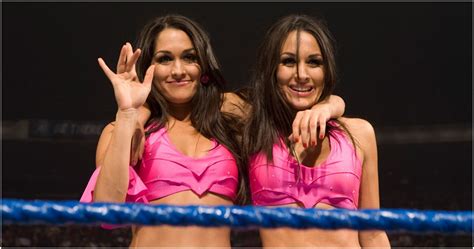 10 Reasons The Bella Twins Are An Underrated Team Thesportster