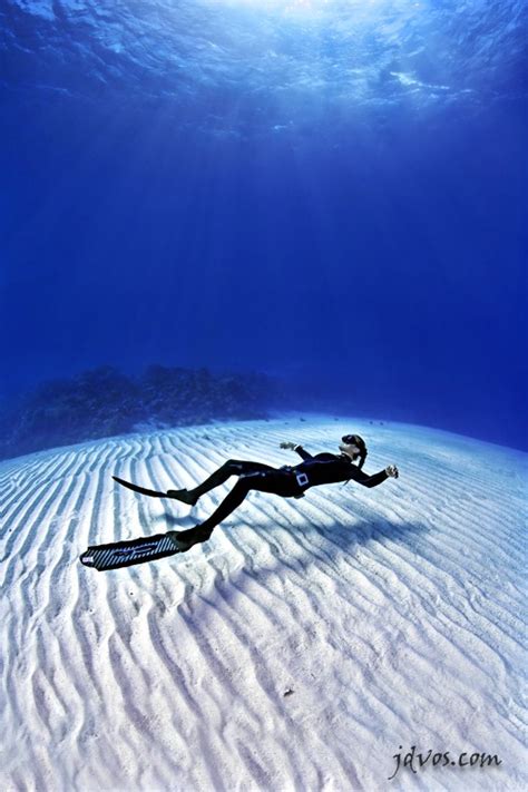 30 Amazing Underwater Photographs Stockvault Net Blog