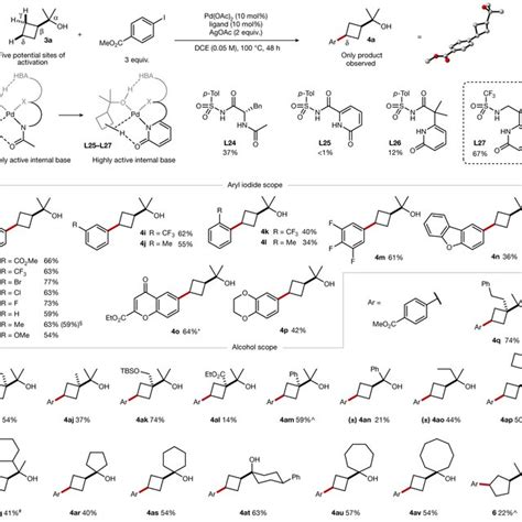 Ligand Optimization And Scope For Alcohol Directed δ Arylations Of