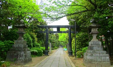 女性必見！春日部で当たると評判の占い師5選 占いプレス