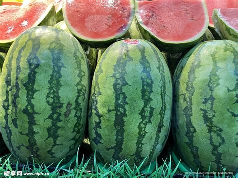 西瓜摄影图水果生物世界摄影图库昵图网