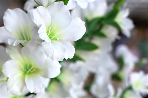 아름다운 흰색 백합의 꽃다발입니다 복사 공간으로 사진을 닫습니다 텍스트에 대한 장소가있는 인사말 카드를위한 템플릿입니다 가까운에 대한 스톡 사진 및 기타 이미지 Istock